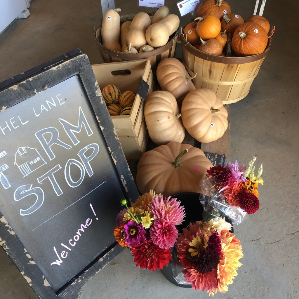 Organic CSA Vegetable Farm In Bloomington, IN | New Ground Farm ...